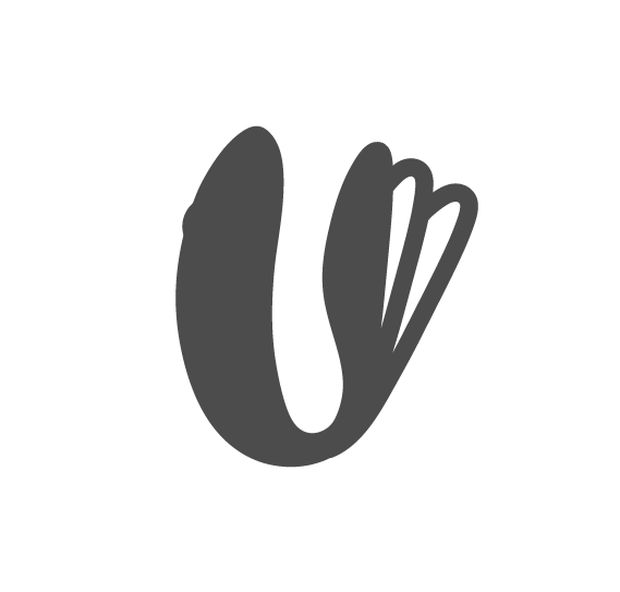 Chorus | Buy the most intuitive couples vibrator online | We-Vibe.com